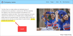 Power Pages: conditional display, site markers, and Liquid filters ...